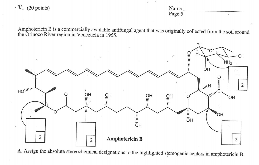 Solved V. (20 points) Name Page 5 Amphotericin B is a | Chegg.com