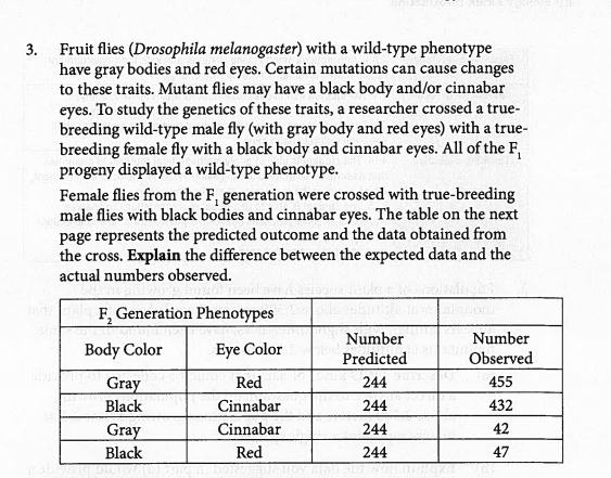 Solved 3. Fruit flies (Drosophila melanogaster) with a | Chegg.com