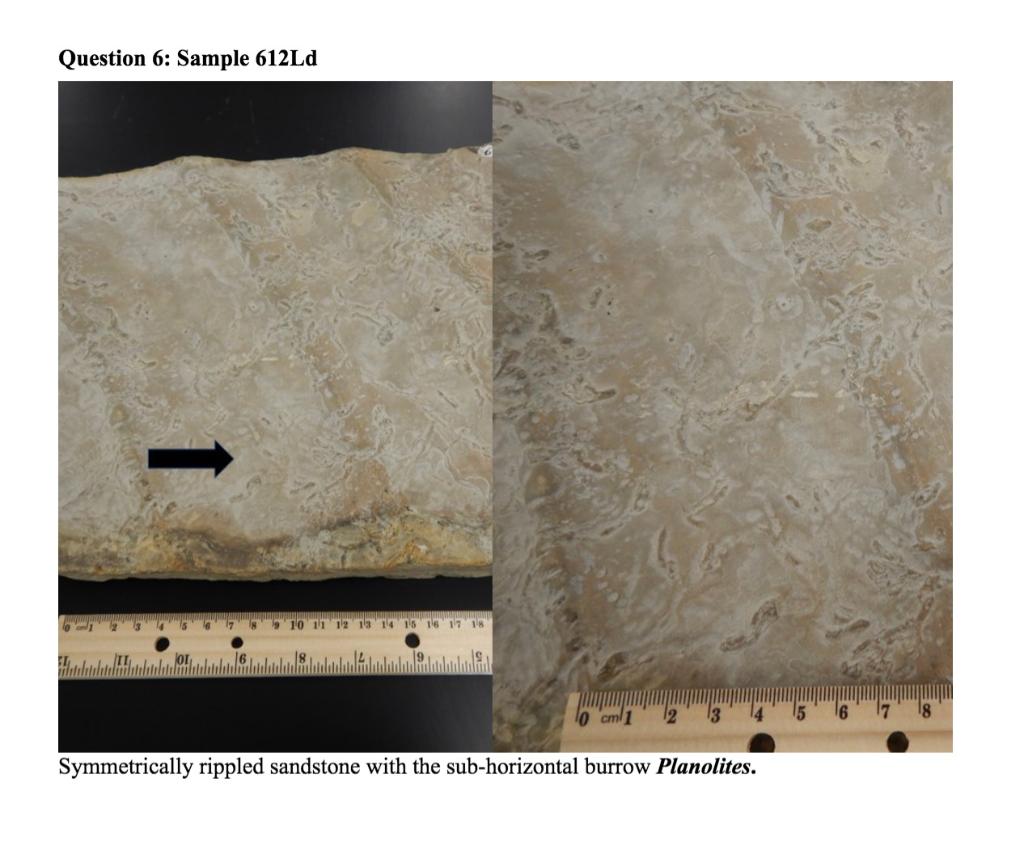 Solved Secondary Sedimentary Structures Question 1: Sample | Chegg.com