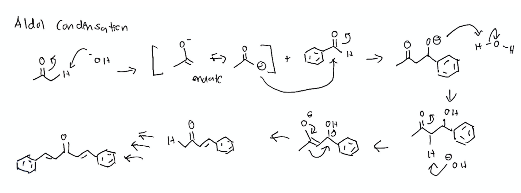Solved Can you show the entire mechanism of the aldol | Chegg.com