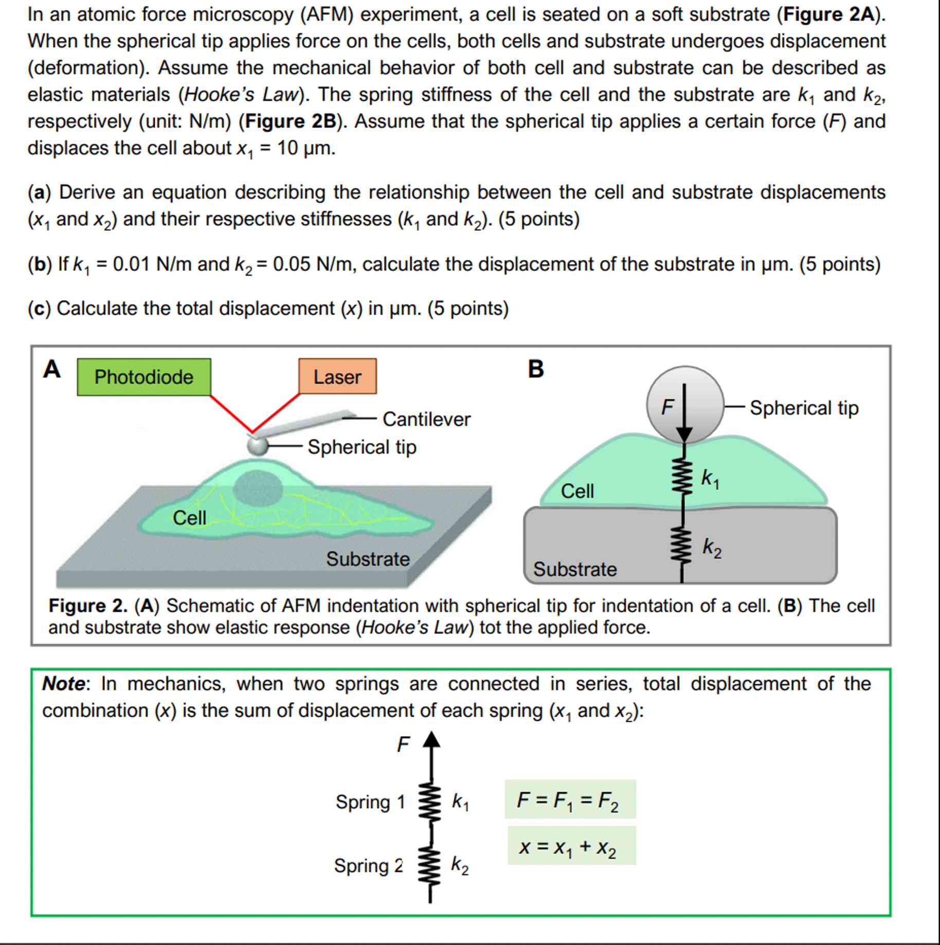 In an atomic force microscopy (AFM) ﻿experiment, a | Chegg.com