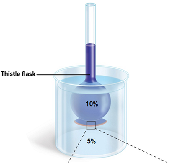 Solved A 10% glucose solution is placed in the thistle tube. | Chegg.com