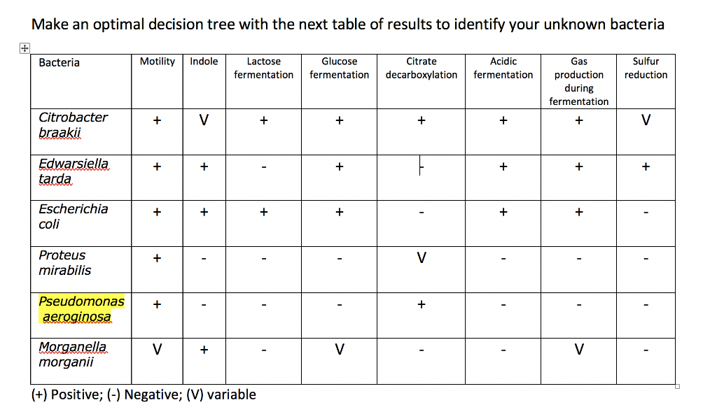 Solved Make an optimal decision tree with the next table of | Chegg.com