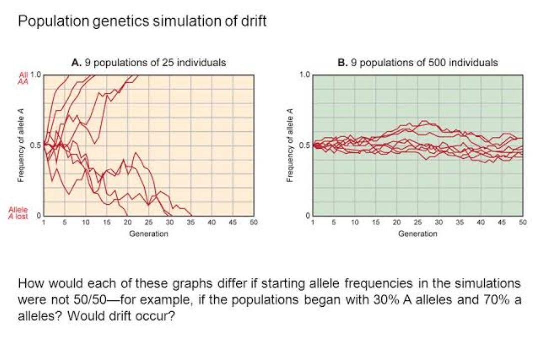 Population genetics simulation of drift A. 9 | Chegg.com