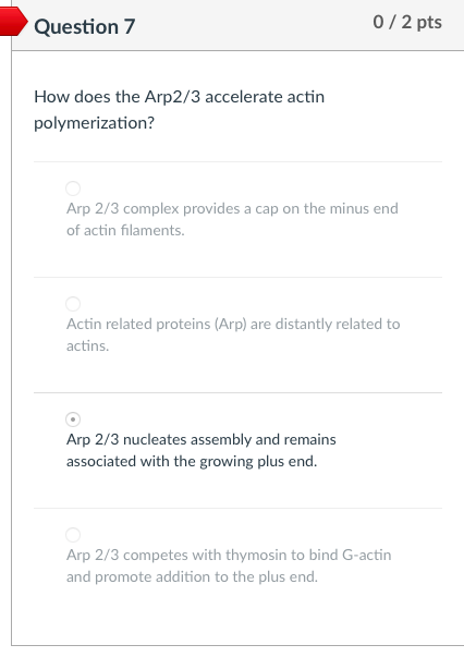 Solved Question 7 0/ 2 pts How does the Arp2/3 accelerate | Chegg.com