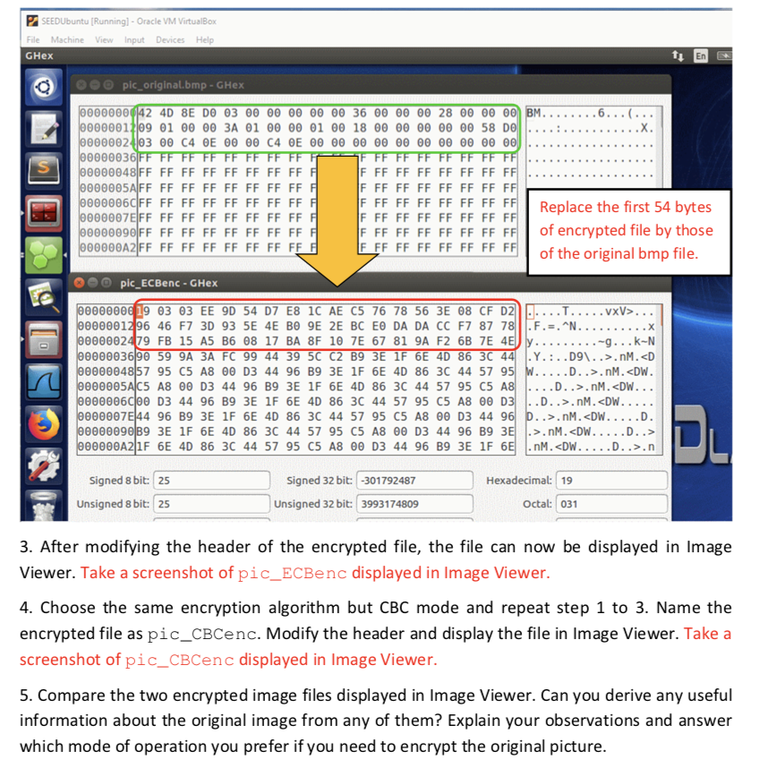 Solved Task 2: Encryption Mode - ECB vs. CBC The file | Chegg.com