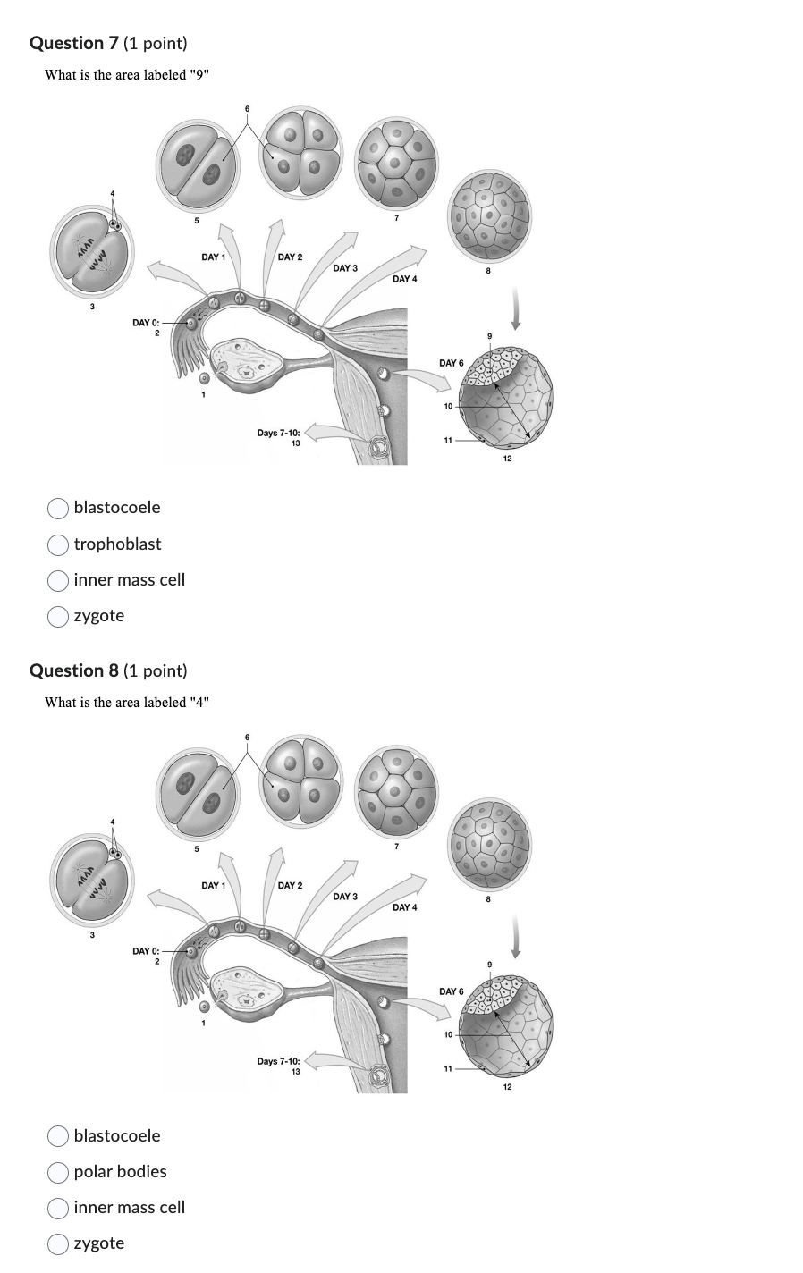 Solved Question 7 (1 point) What is the area labeled "9" | Chegg.com