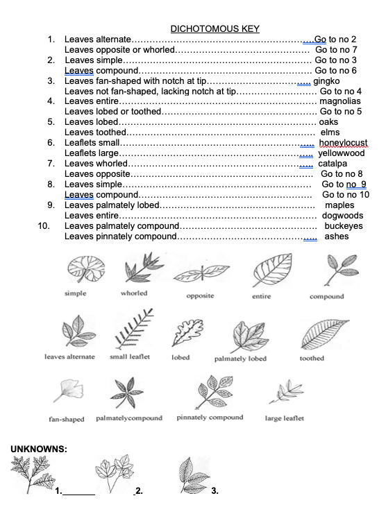 Solved Use the key to identify the three unknown trees | Chegg.com