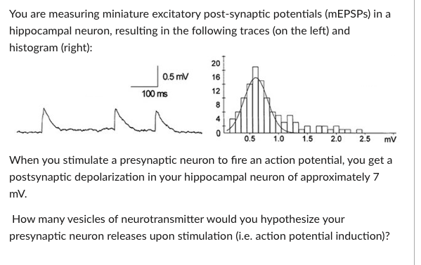 Solved You Are Measuring Miniature Excitatory Post Synaptic
