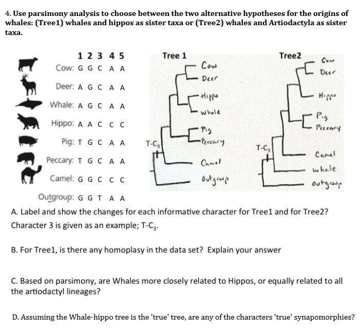 Solved Please explain how do you label and show the changes | Chegg.com