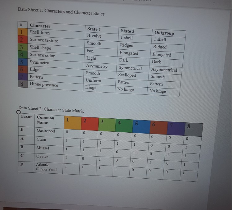 Solved Data Sheet 2: Character State Matrix Taxon Common | Chegg.com