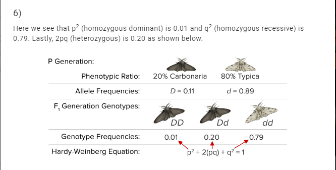 Solved Lab Data Phenotype Frequency Allele Frequency | Chegg.com