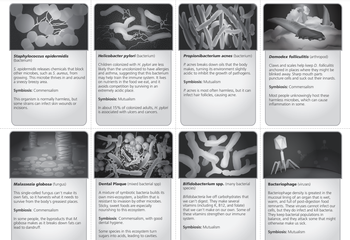 Solved Entire ecosystems of microbes thrive inside the human | Chegg.com