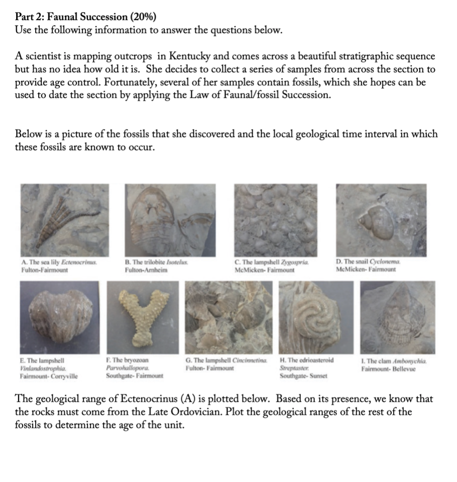 Solved Part 2: Faunal Succession (20%) Use the following | Chegg.com