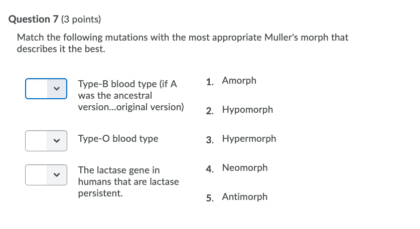 Solved Question 7 (3 points) Match the following mutations | Chegg.com
