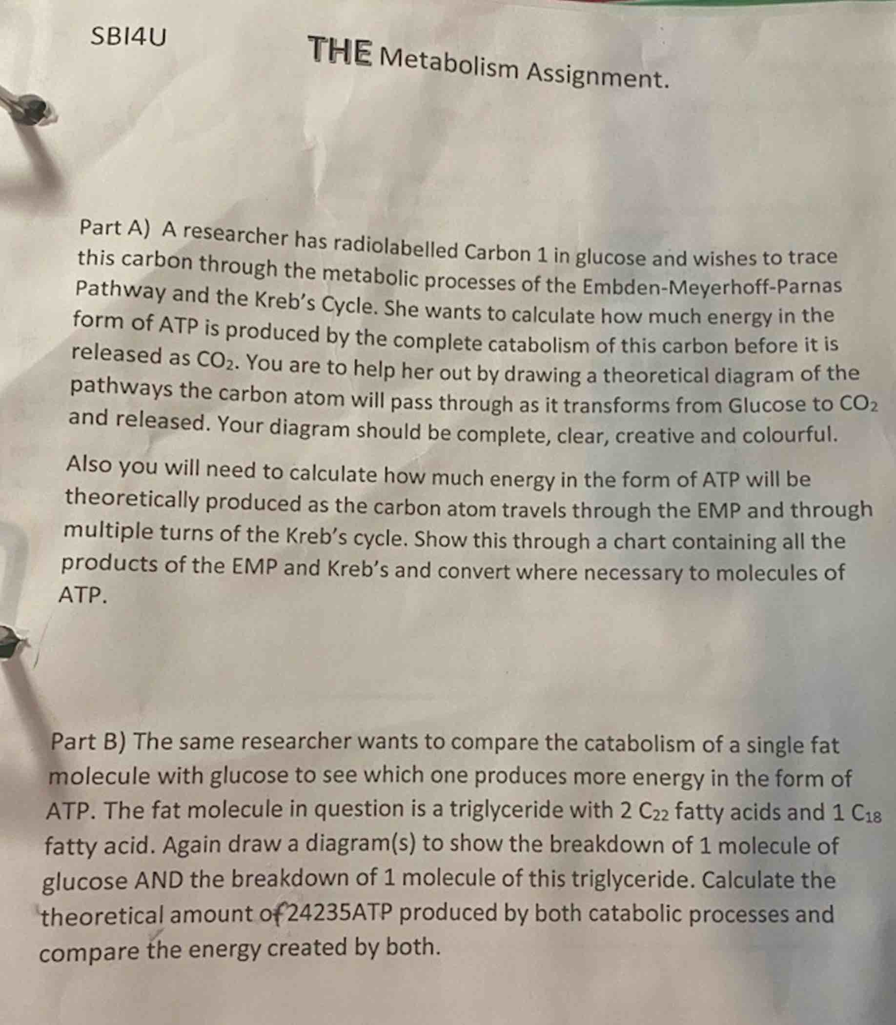 Solved THE Metabolism Assignment. Part A) ﻿A researcher has | Chegg.com