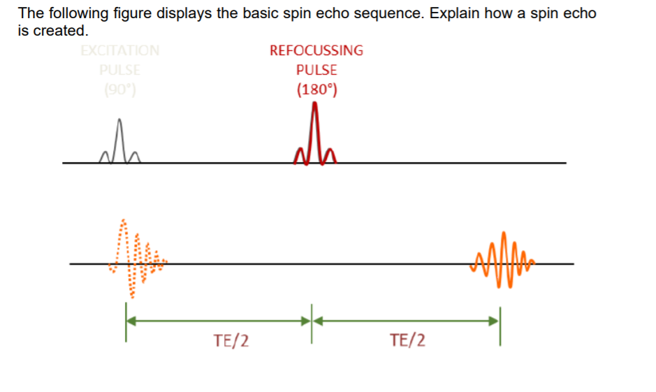 Solved The following figure displays the basic spin echo | Chegg.com