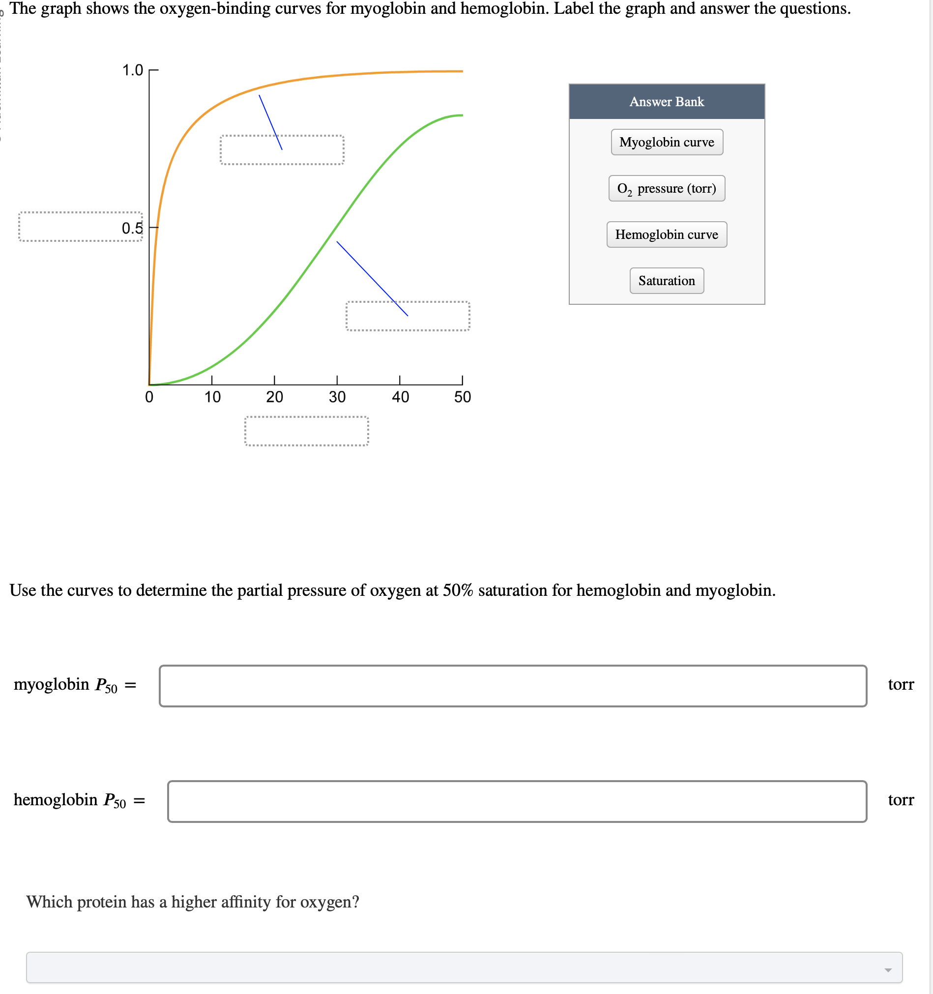 Solved The graph shows the oxygen-binding curves for | Chegg.com