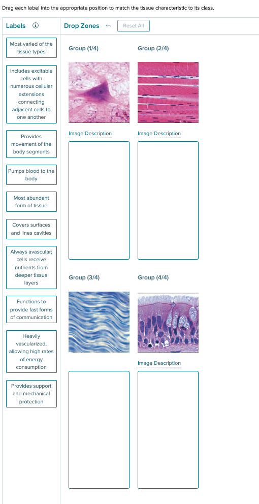Solved Drag each label into the appropriate position to | Chegg.com