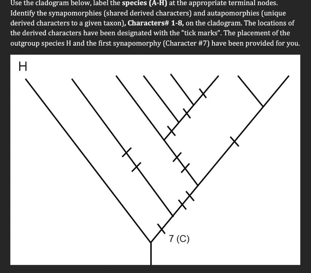 Instructions for Phylogeny Reconstruction 1. Look at | Chegg.com