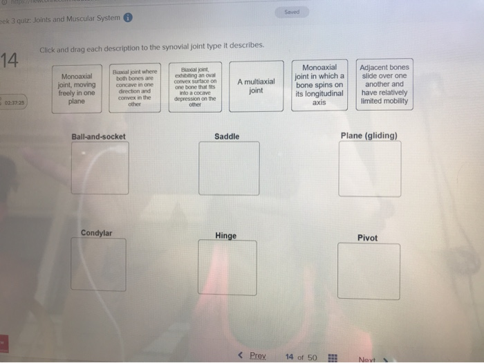 Solved Saved ek 3 quiz: Joints and Muscular System Click and | Chegg.com Solved Saved ek 3 quiz: Joints and Muscular System Click and | Chegg.com
