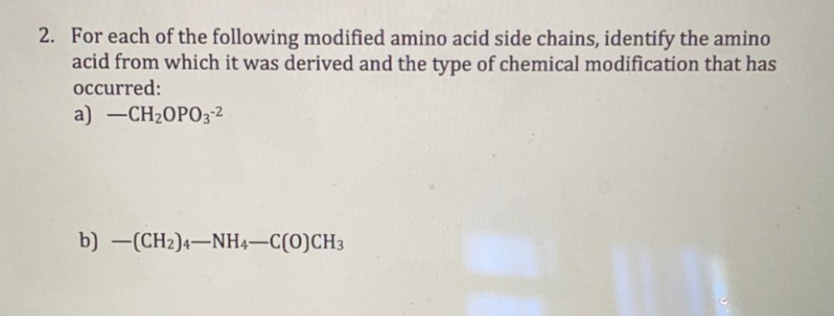 Solved 2. For each of the following modified amino acid side | Chegg.com