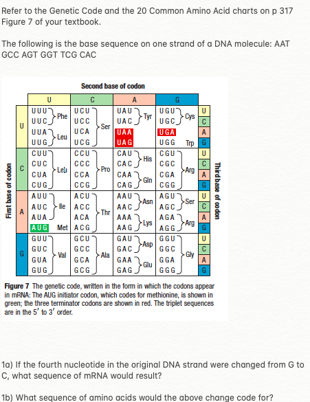 Solved Refer to the Genetic Code and the 20 Common Amino | Chegg.com