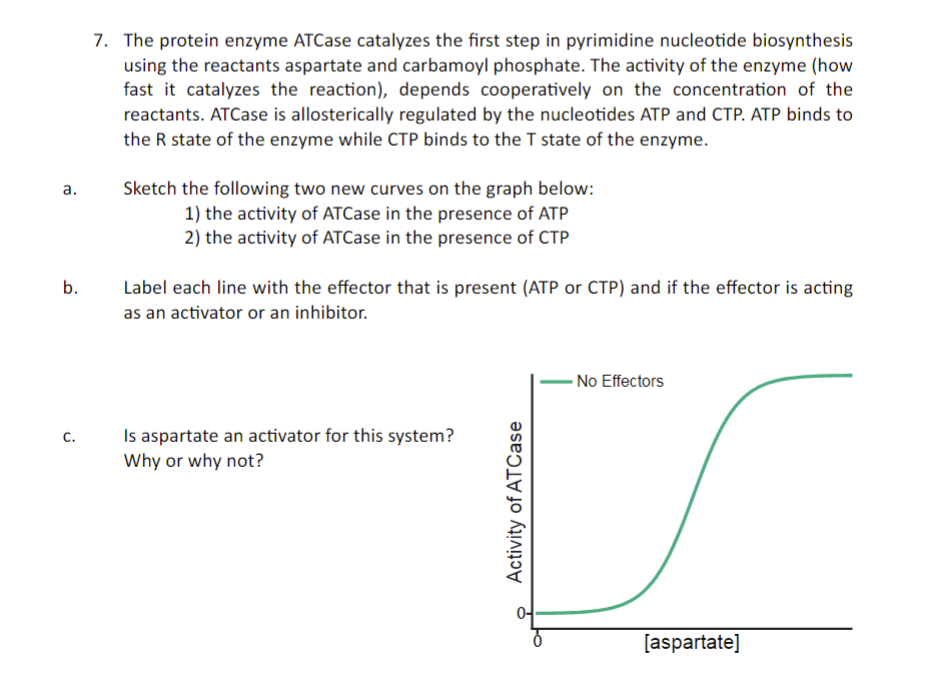 Solved 7. The protein enzyme ATCase catalyzes the first step | Chegg.com
