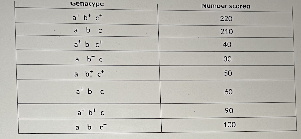 Solved Genotype at b+ ct a b C a b c a a b c a b c a b c a b | Chegg.com