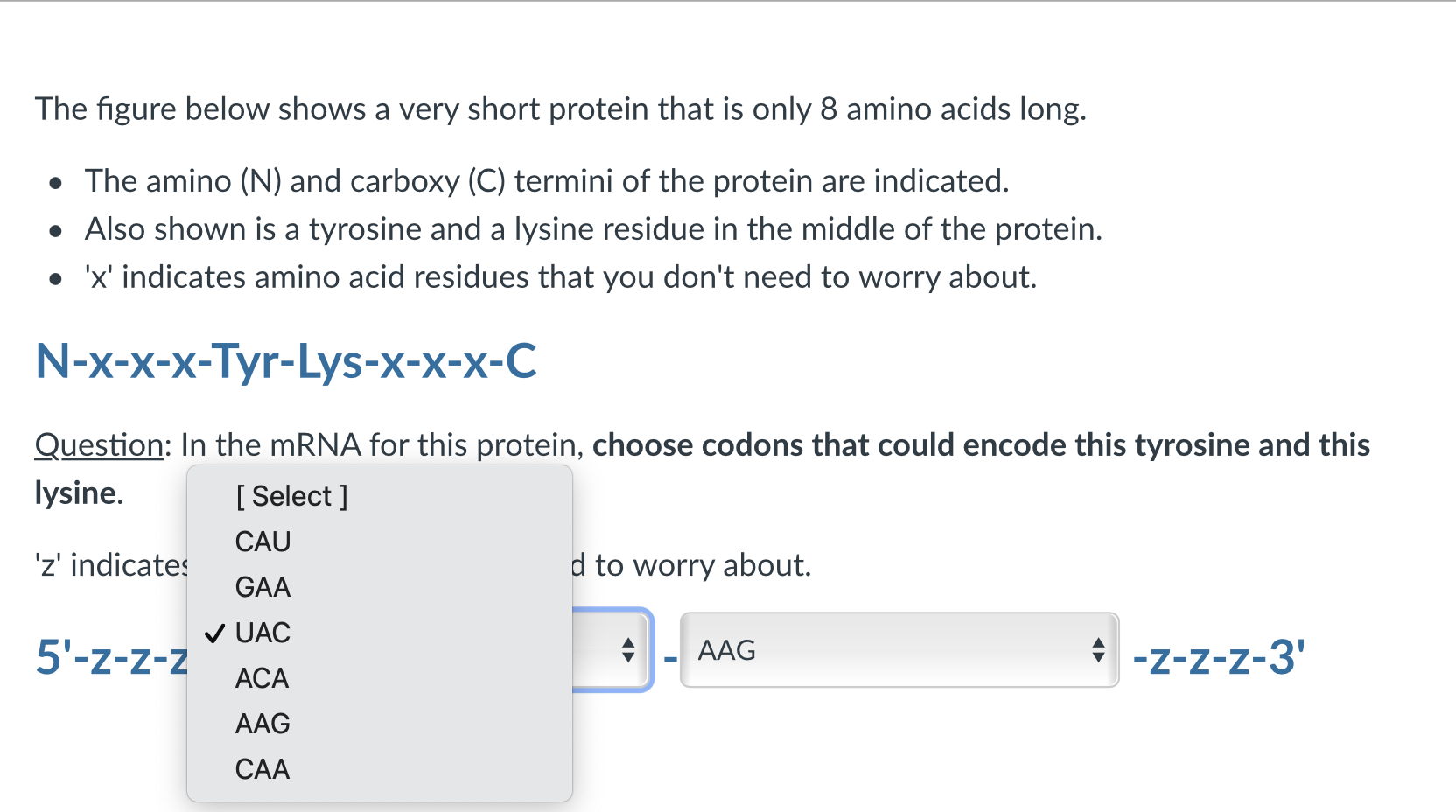 Solved The figure below shows a very short protein that is | Chegg.com