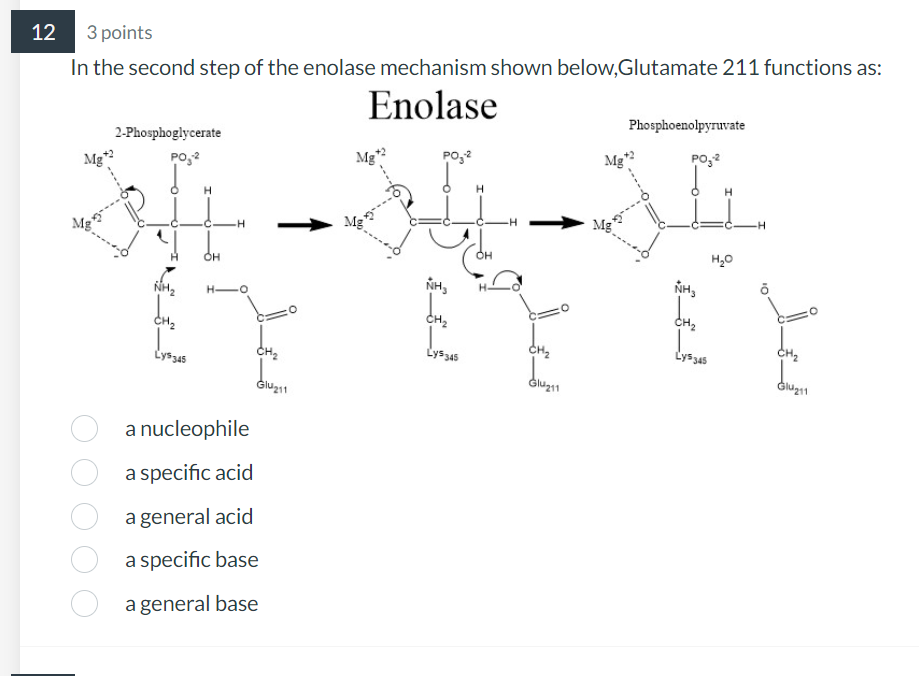 Solved 3 points In the enolase mechanism shown below, the | Chegg.com