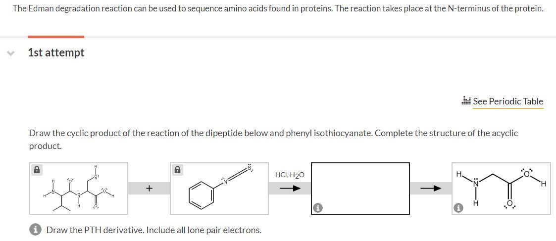 Solved The Edman degradation reaction can be used to | Chegg.com
