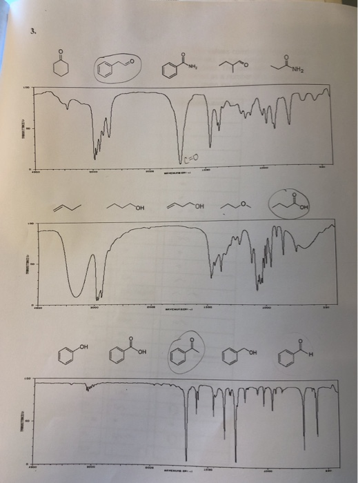 Solved Which structure is most consistent with the IR | Chegg.com