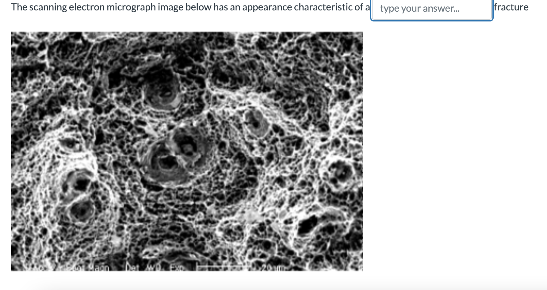 Solved The scanning electron micrograph image below has an | Chegg.com