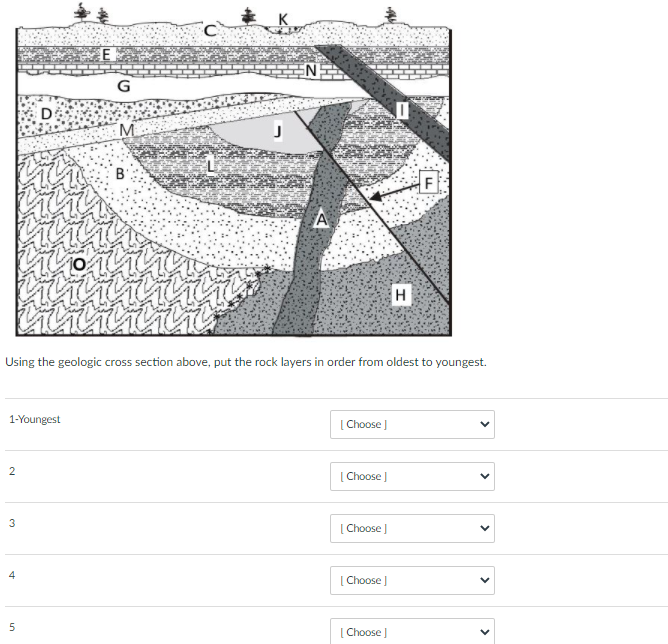 Solved D CE Using the geologic cross section above, put the | Chegg.com