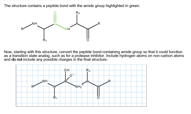 Solved The structure contains a peptide bond with the amide | Chegg.com