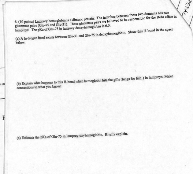 Solved Lamprey hemoglobin is a dimeric protein. The | Chegg.com