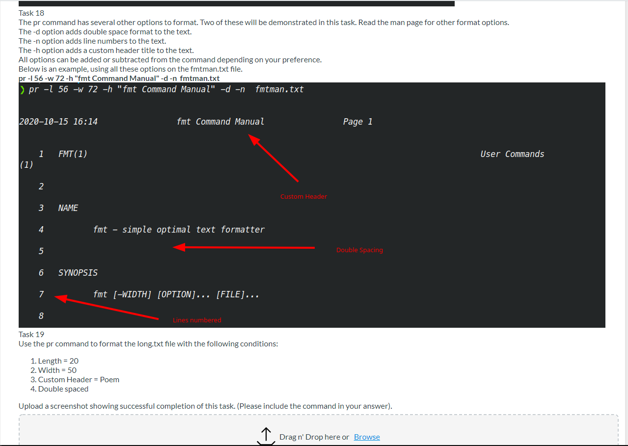 Solved Module 8: Format Text Output FORMAT TEXT OUTPUT | Chegg.com