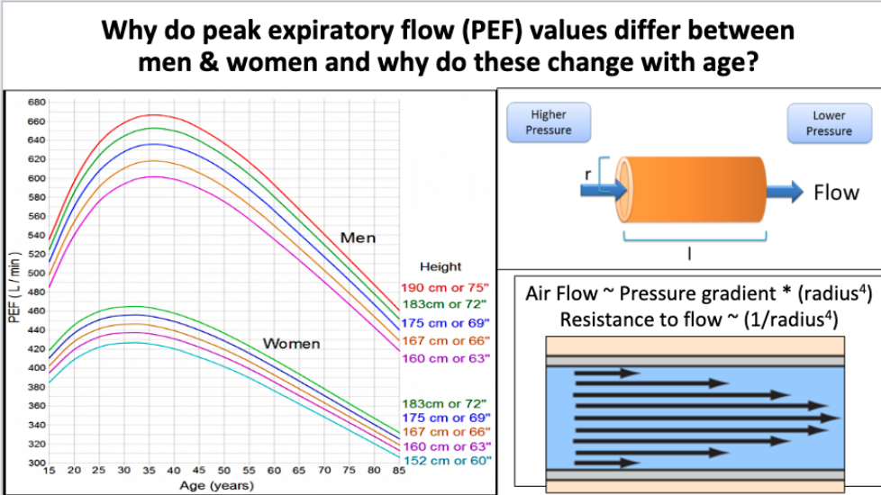 Solved Why do peak expiratory flow (PEF) values differ | Chegg.com