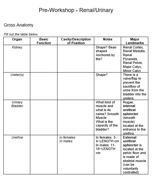 Solved Pre-Workshop - Renal/Urinary Gross Anatomy Fill out | Chegg.com