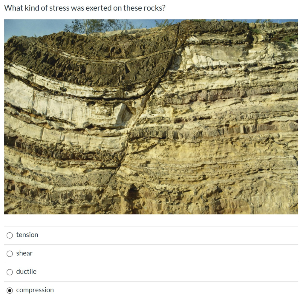 Solved What kind of stress was exerted on these rocks? O | Chegg.com