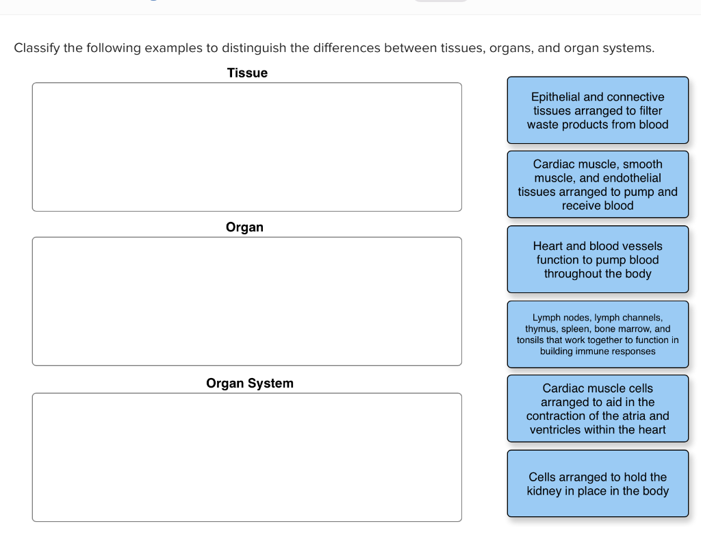 Solved Classify the following examples to distinguish the | Chegg.com Solved Classify the following examples to distinguish the | Chegg.com