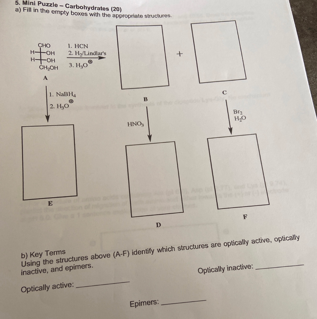 Solved 5. Mini Puzzle - Carbohydrates (20) a) Fill in the | Chegg.com
