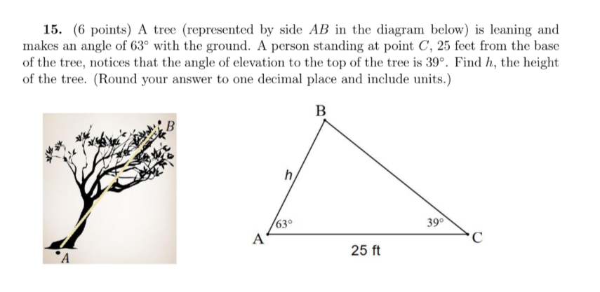 Solved 15. (6 points) A tree (represented by side AB in the | Chegg.com