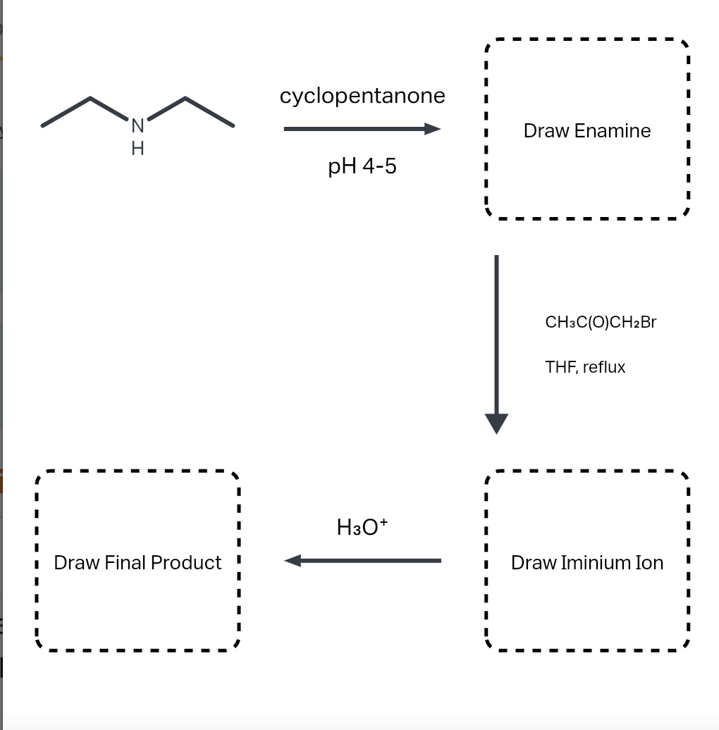 Solved cyclopentanone N Н. Draw Enamine pH 4-5 CH3C(O)CH2Br | Chegg.com