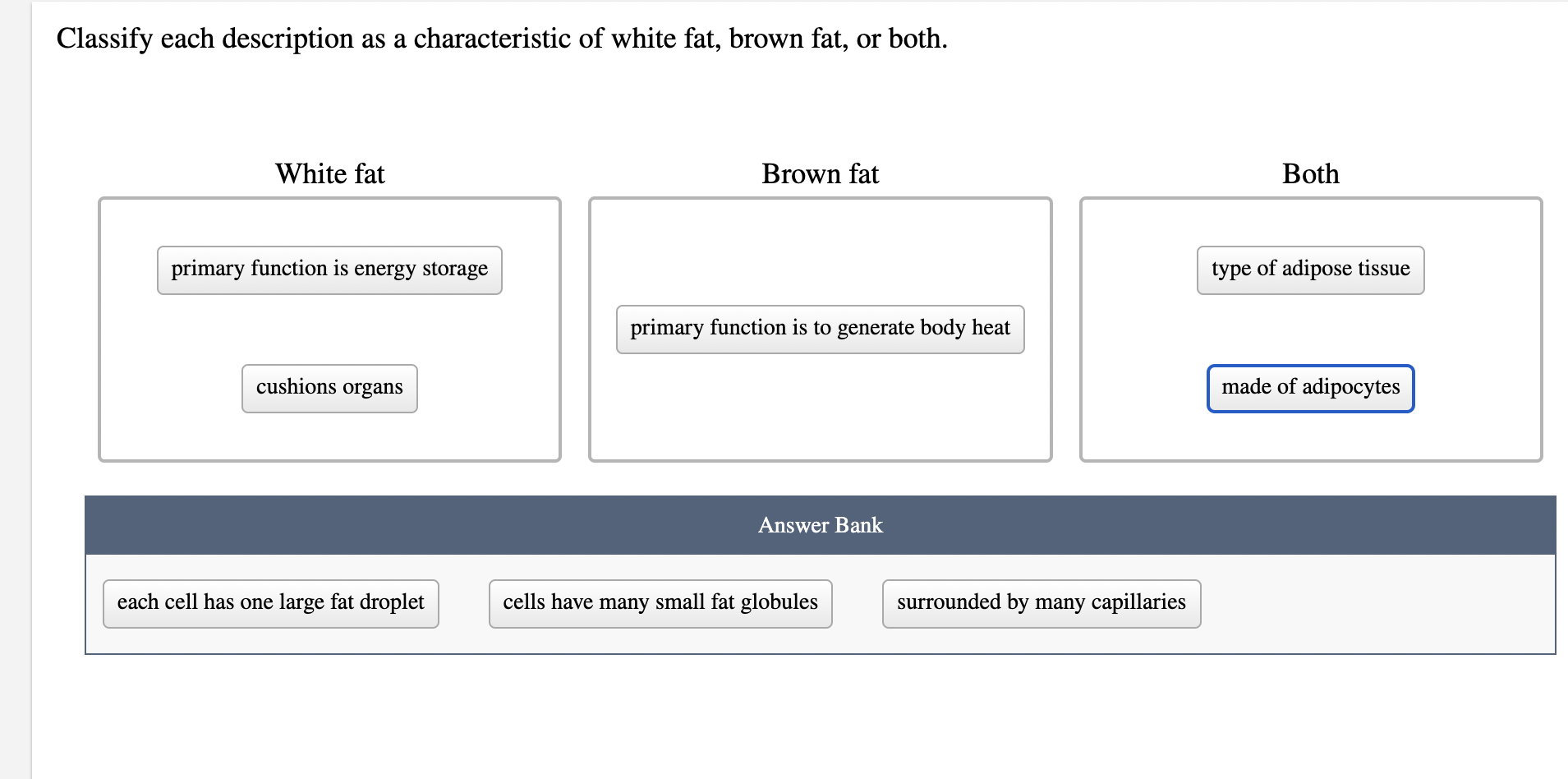 Solved Classify each description as a characteristic of | Chegg.com