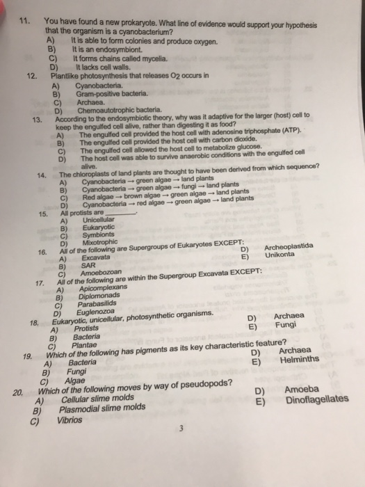Solved 11. You have found a new prokaryote. What line of | Chegg.com