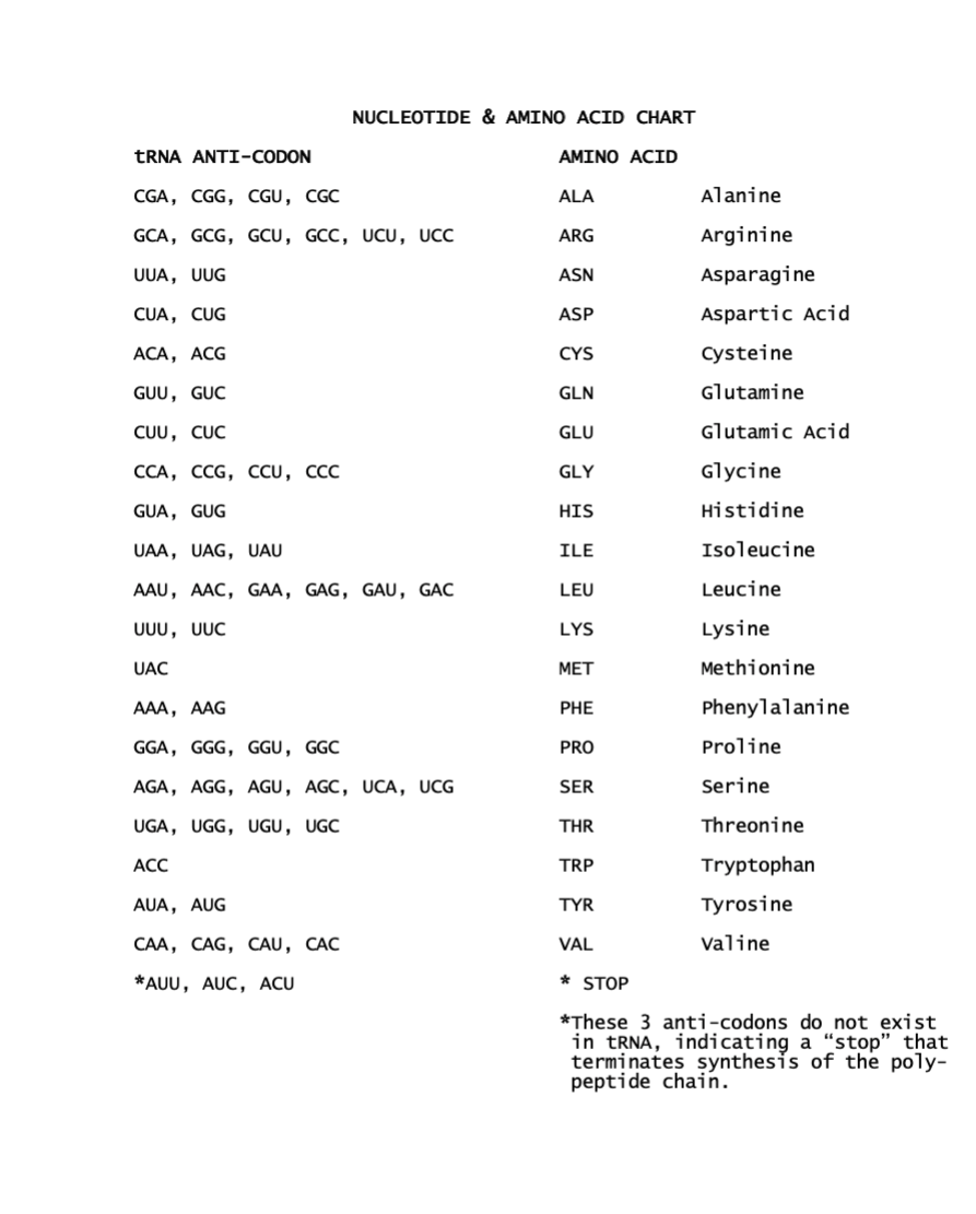 NUCLEOTIDE & AMINO ACID CHART AMINO ACID ALA Alanine | Chegg.com