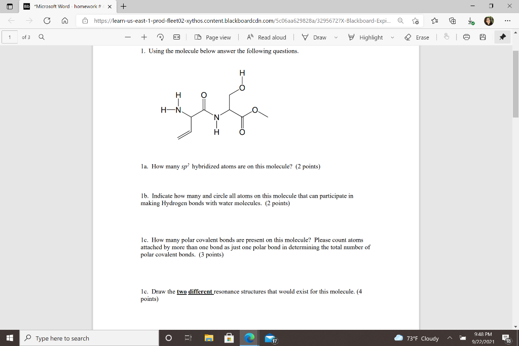 Solved Bb "Microsoft Word - homework # X + х @ | Chegg.com