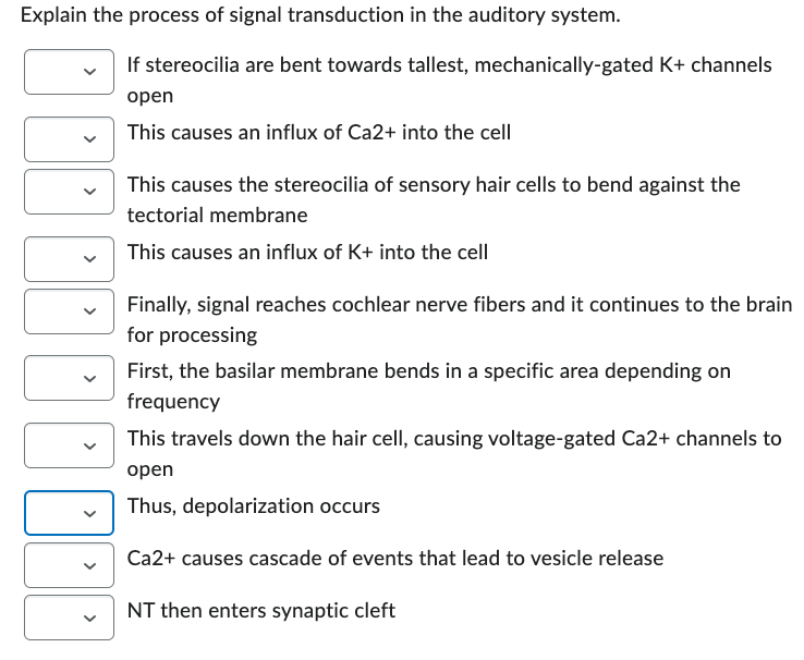 Solved Explain the process of signal transduction in the | Chegg.com